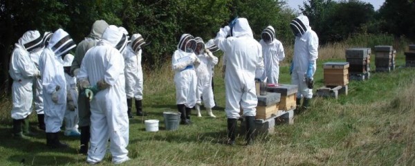 Beekeeper training & education » APHA - National Bee Unit - BeeBase